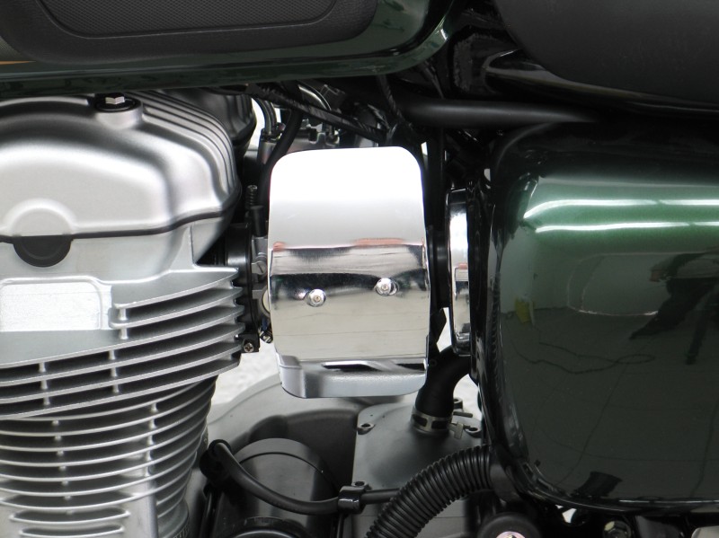 Kawasaki W800 Injection System Decorative Cover Left